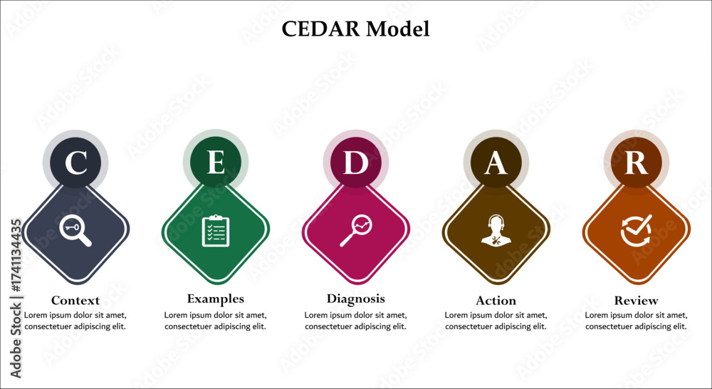 CEDAR Model - Context, Examples, Diagnosis, Action, Review. Infographic ...