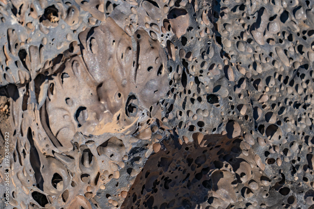 Foto de Stock Basalt (Quaternary). Devils Orchard Nature Trail. Craters ...