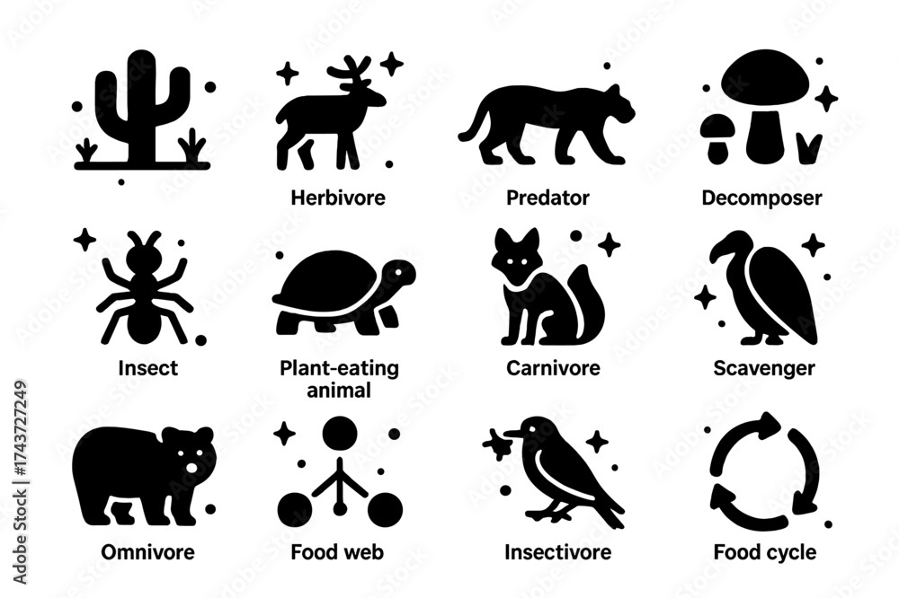 Desert Food Chain Icons. Desert food chain. Solid icons set of primary ...