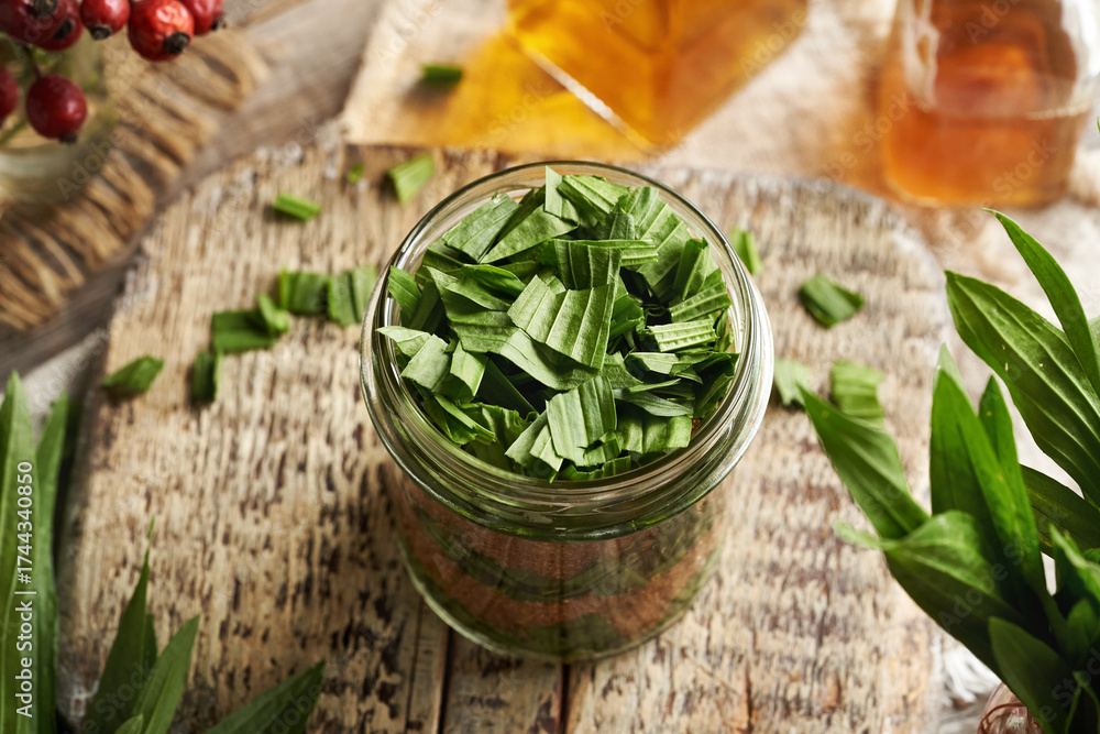 Making homemade herbal syrup for cough with chopped fresh ribwort ...