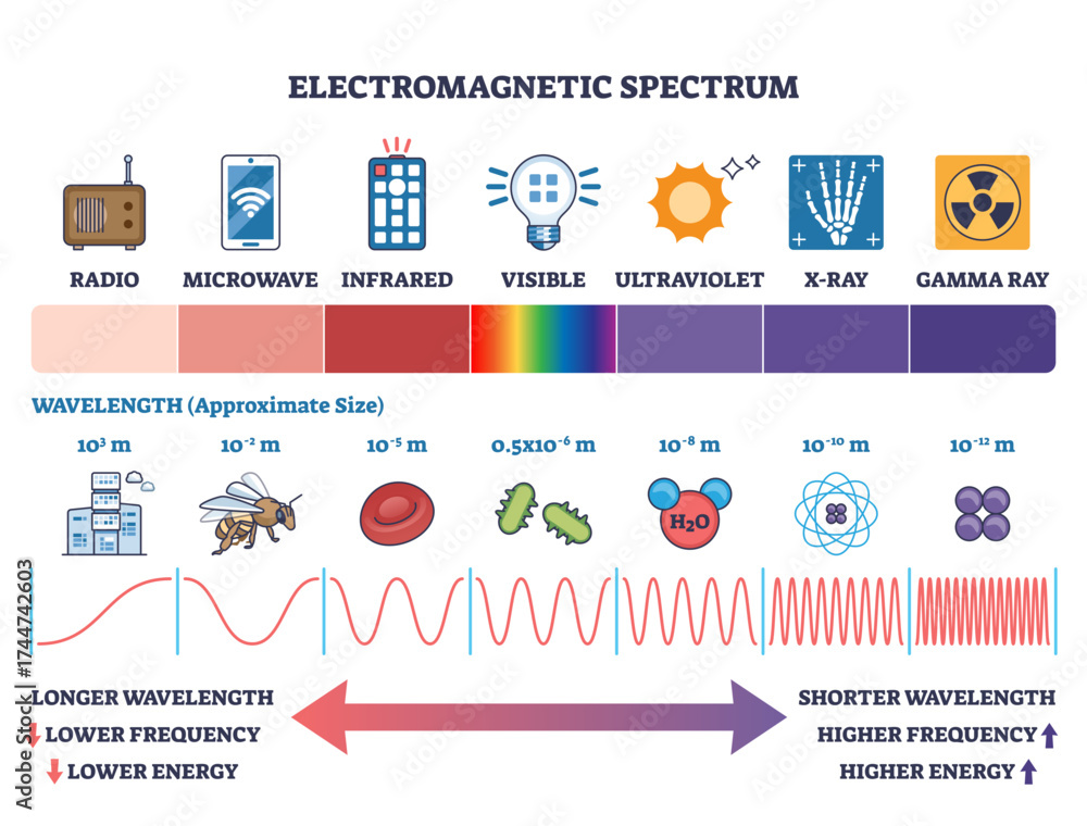 Image vectorielle Stock Electromagnetic spectrum diagram shows radio to ...