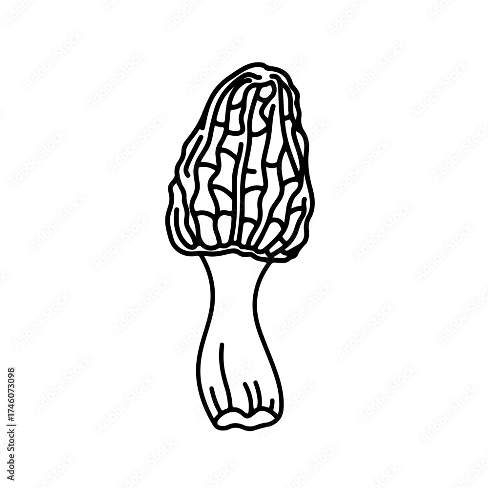 Detailed line art of a morel mushroom with distinct ridges and hollow ...