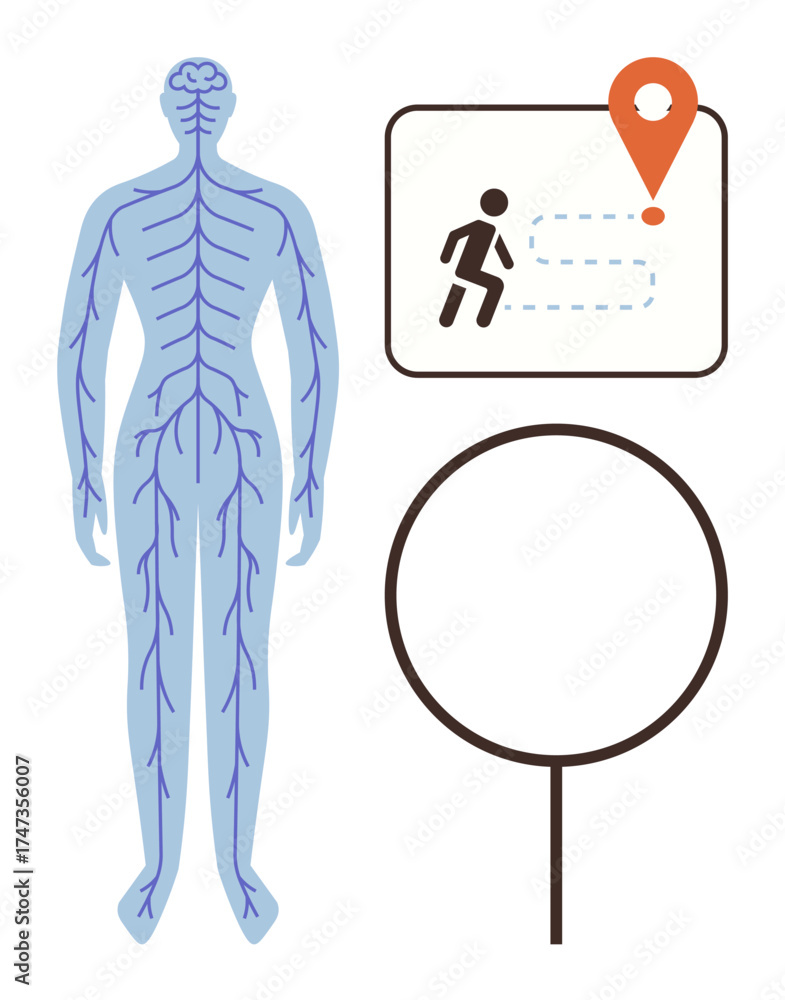 Human nervous system diagram beside an abstract running map with a ...