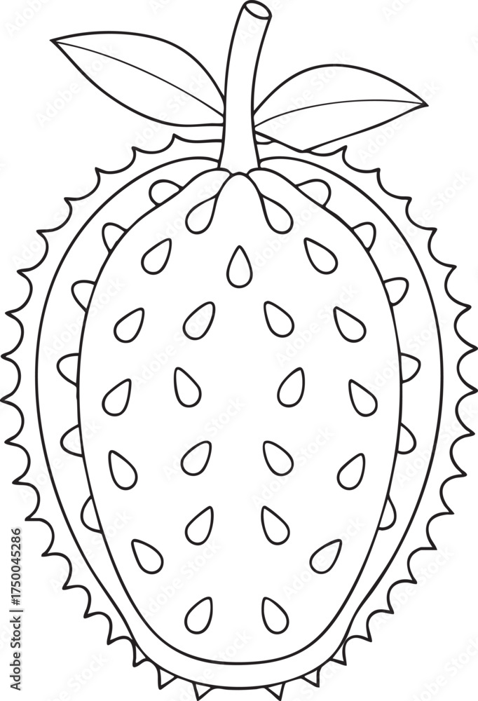 Outline drawing of soursop fruit with leaves and stem botanical ...