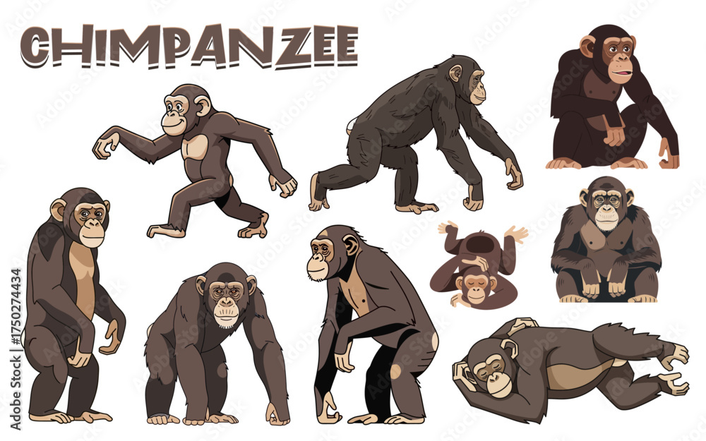 Cartoon Chimpanzee Illustrations in Various Poses Walking Sitting ...