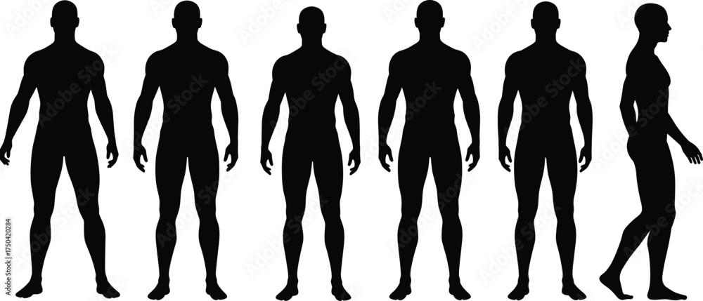 MobileHuman silhouette, front view, back view, side view, walking pose ...
