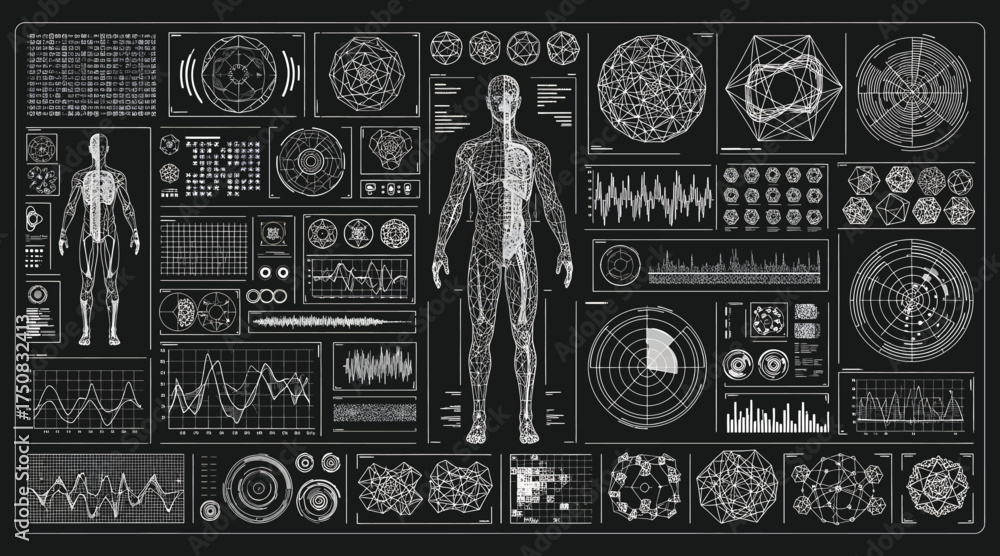 Vector art of advanced human body scan interface displaying detailed ...
