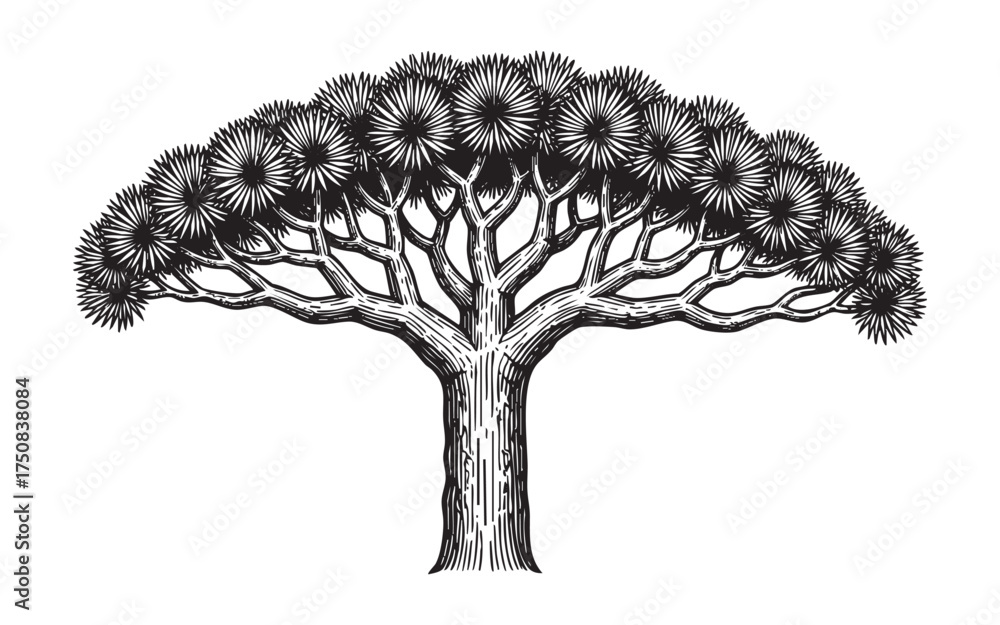 Dragon Blood Tree Stock Vector | Adobe Stock