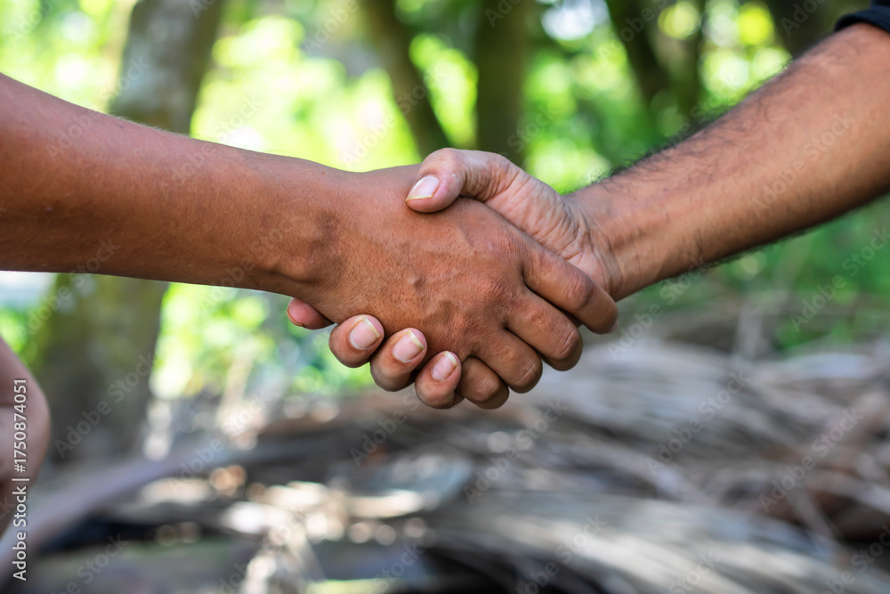Sealing the deal with a firm handshake shows collaboration and ...