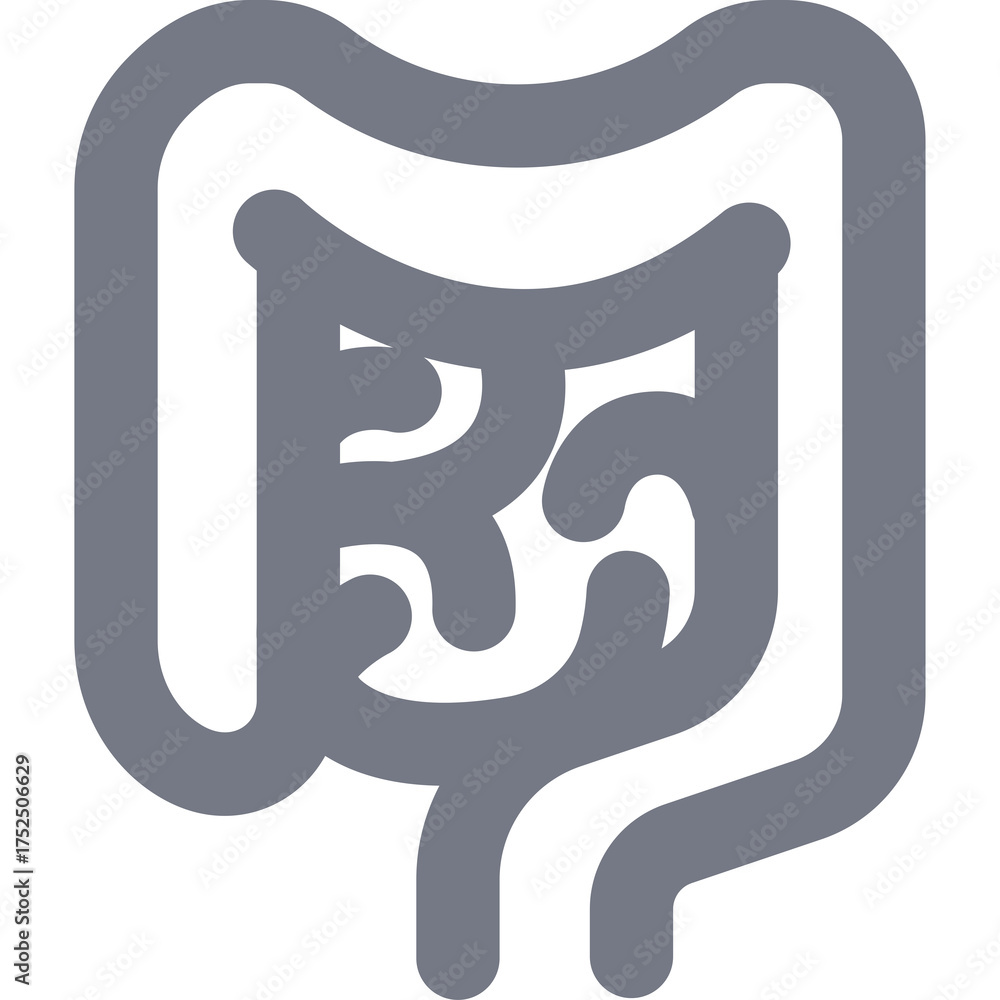 Icon of large intestine and colon human digestive system anatomy gray ...