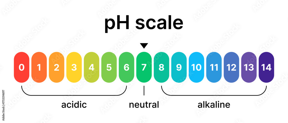 Stock-Vektorgrafik „Ph acid and base balance scale. Value on the meter ...