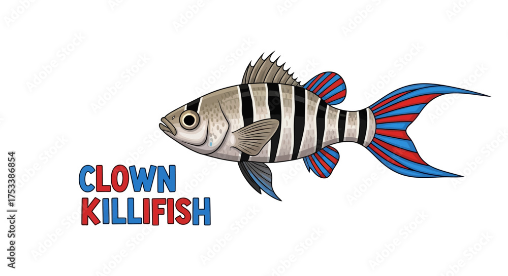 Cartoon Clown Killifish with Text Stock Vector | Adobe Stock