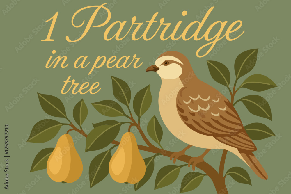 Partridge in a pear tree. The twelve days of Christmas. English ...