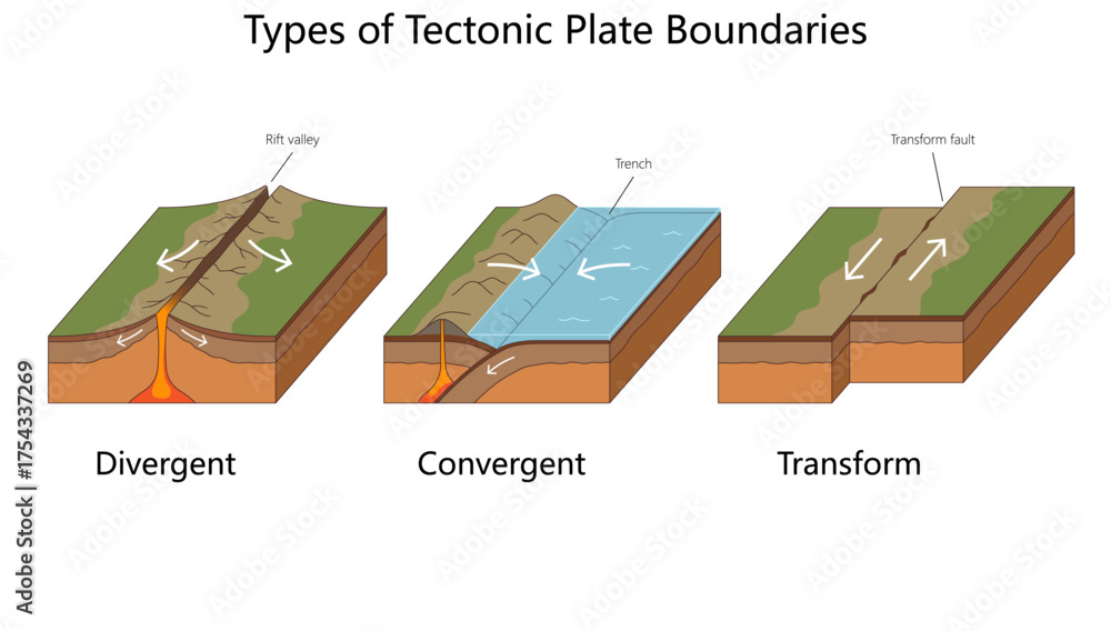 Image vectorielle Stock Visual comparison of divergent, convergent, and ...