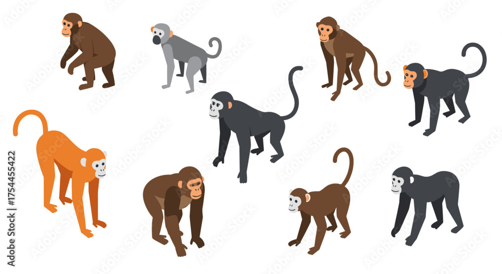 Isometric monkey set featuring various species and colors for wildlife ...