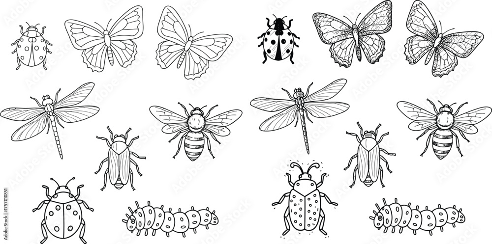 Insect illustration collection, ladybug butterfly dragonfly bee ...