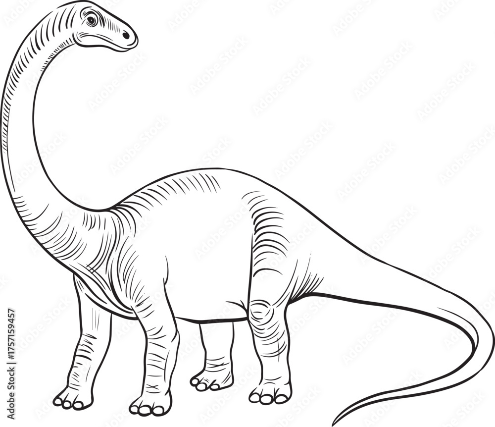 Detailed black and white vector drawing of Diplodocus dinosaur with ...