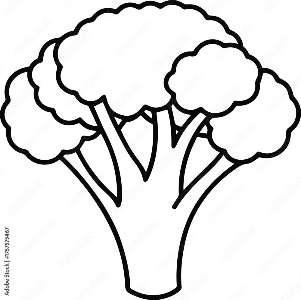 Broccoli vegetable outline vector for coloring and design Stock Vector ...