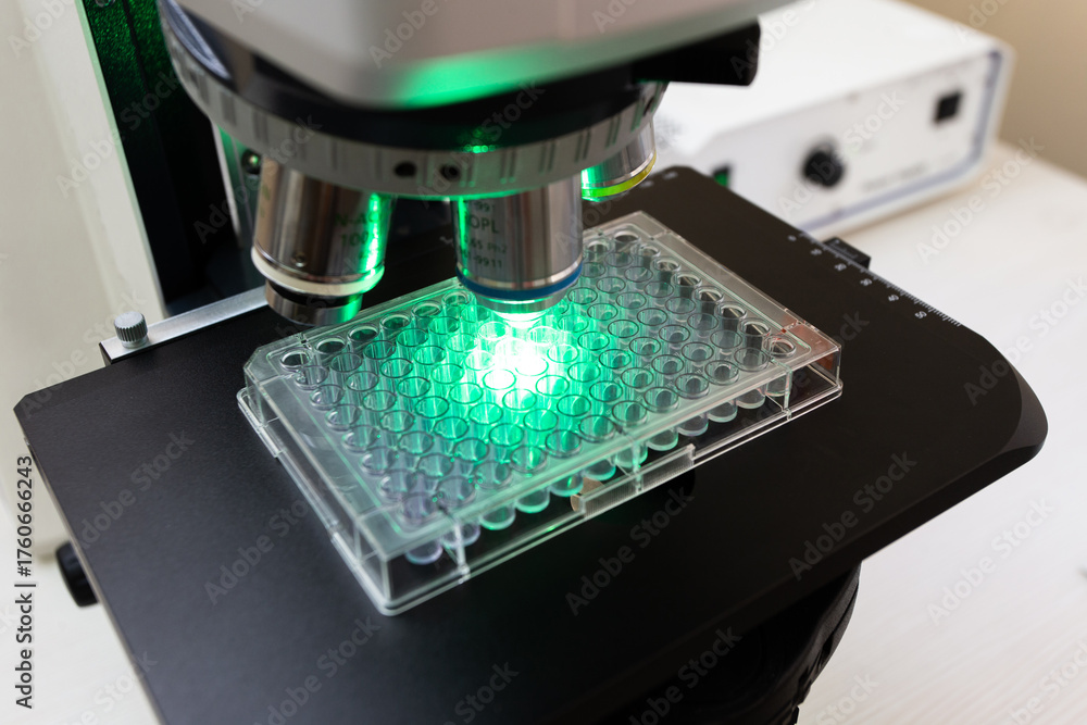 Using a microscope and green light for laboratory research. Stock Photo ...