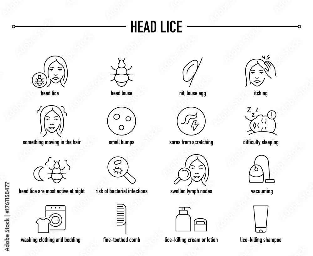 Praca wektorowa bez tantiem: Head Lice symptoms, diagnostic and ...