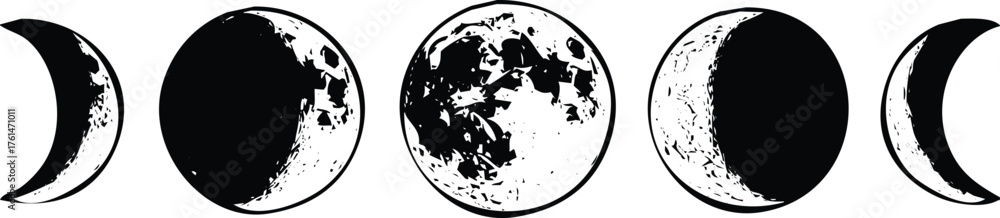 Full moon phases celestial body cosmic cycle astronomical event vector ...