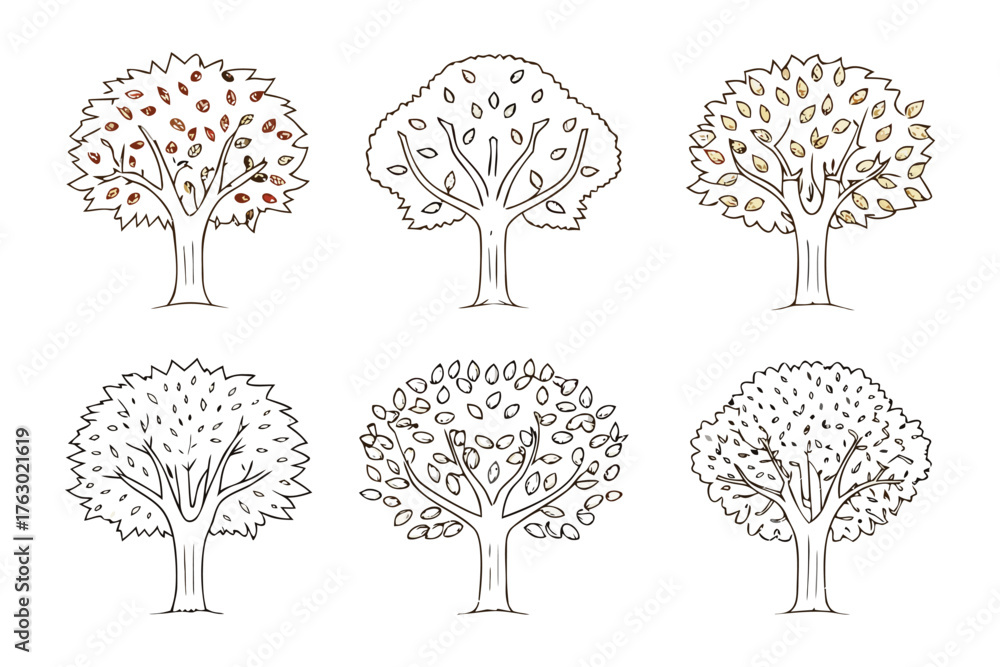 Diverse Tree Illustrations: A collection of various tree illustrations ...