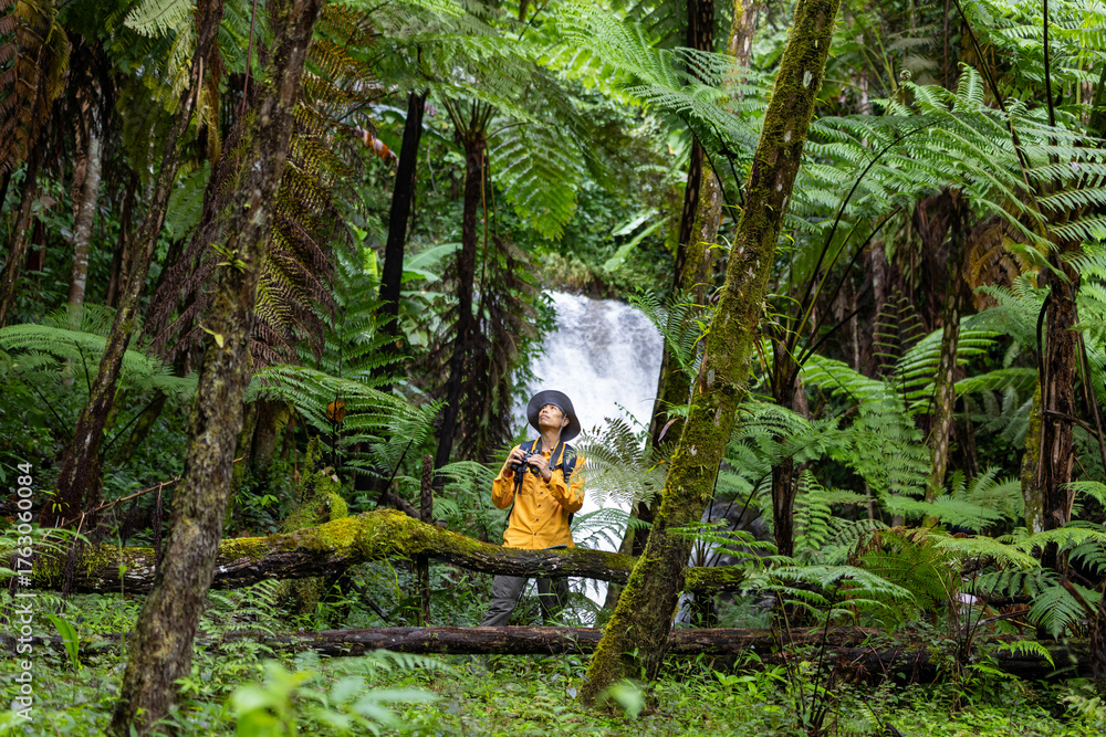 Asian naturalist bird watching is holding the binoculars while ...