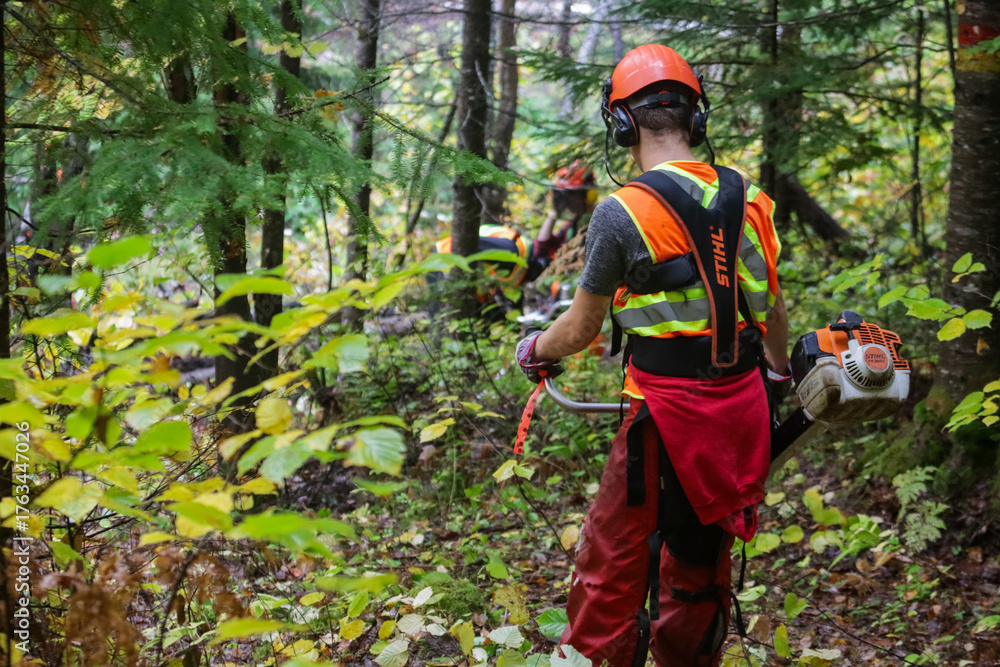 Canada, 26 September 2025 : Workers clearing forest trail with chainsaw ...