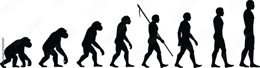 Human evolution silhouette from primate to modern man, walking ...