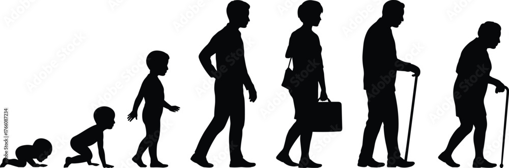 Human life cycle silhouettes, baby to elderly, growth stages, aging ...