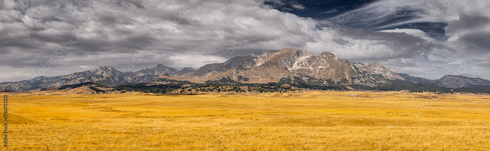 Panoramic view capturing rugged mountains bordering a vast golden field ...