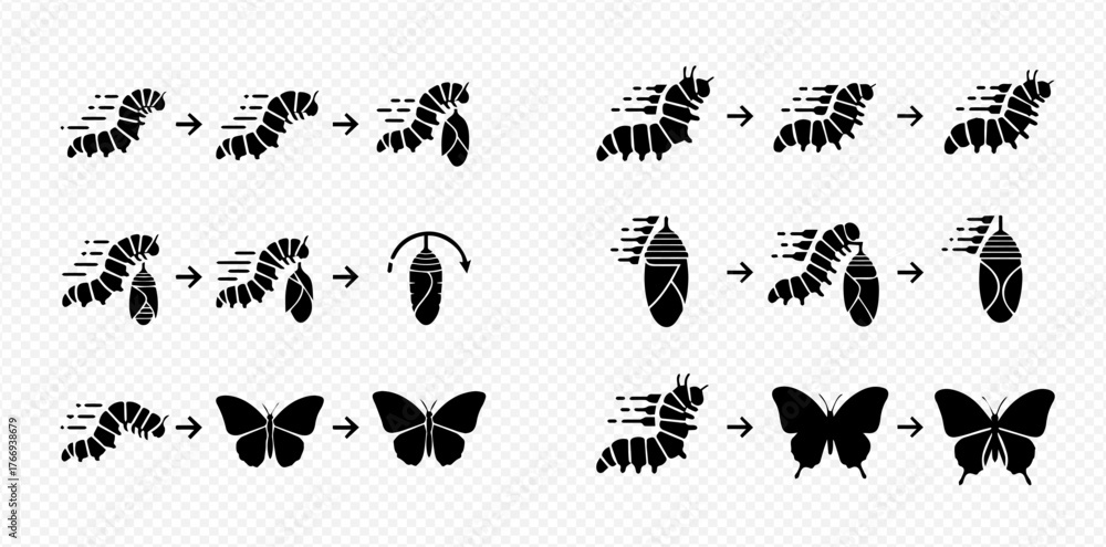 Butterfly life cycle stages: caterpillar, pupa, and butterfly ...