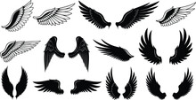 Fantasy Bird Illustration Free Stock Photo Public Domain Pictures