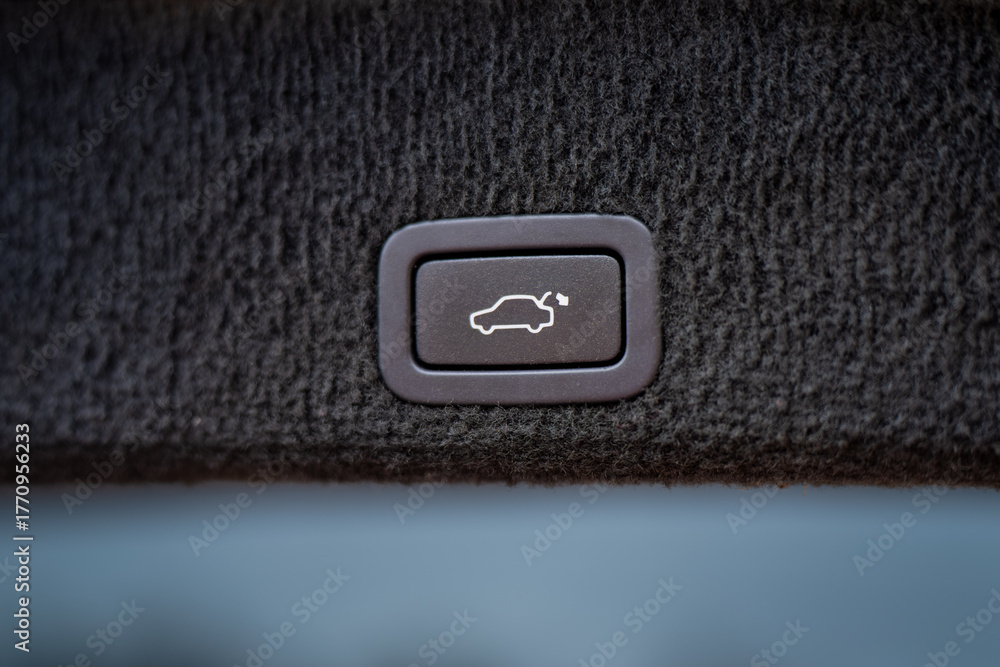 Electric trunk release button integrated into vehicle interior panel ...