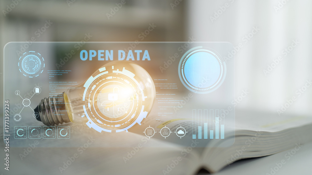 The concept of open data for public information and government ...