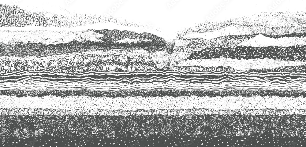 Black and white graphic illustration of geological strata with varied ...