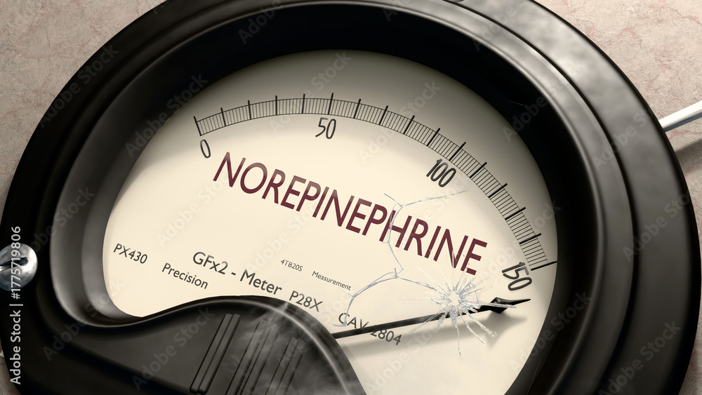 Ilustrace Norepinephrine meter showing high levels of norepinephrine ...
