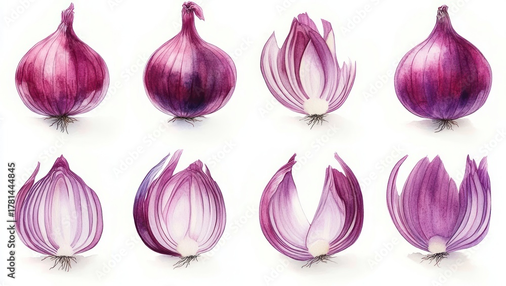 Eight purple onions shown whole and in various stages of being peeled ...