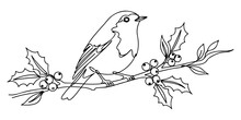 Christmas Robin Holly Branch Free Stock Photo - Public Domain Pictures