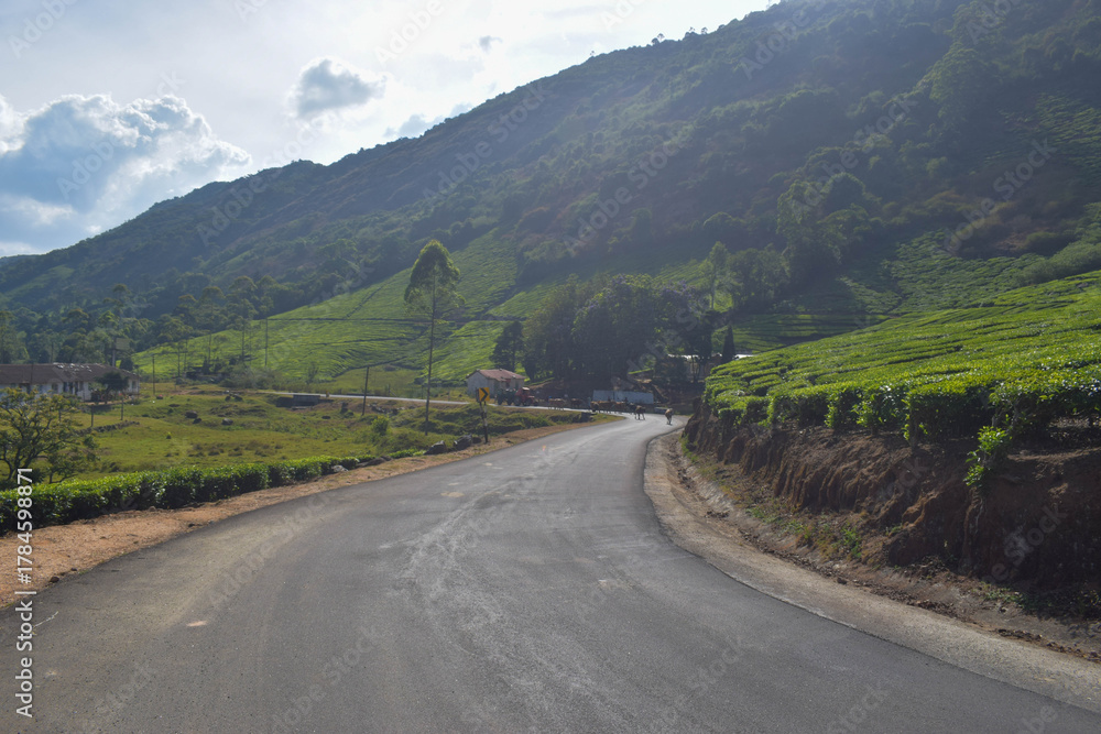 Foto de Stock The route to Meghamalai, also known as the High Wavy ...