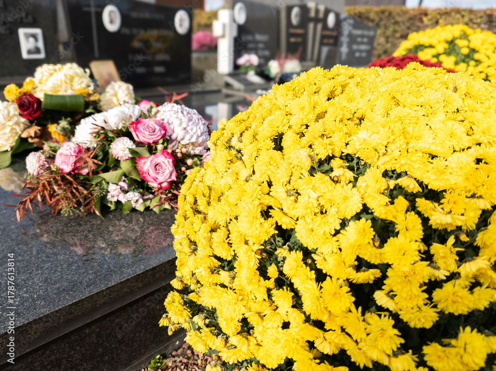 Foto de Stock Colorful chrysanthemums flowers on graveyard in front of ...