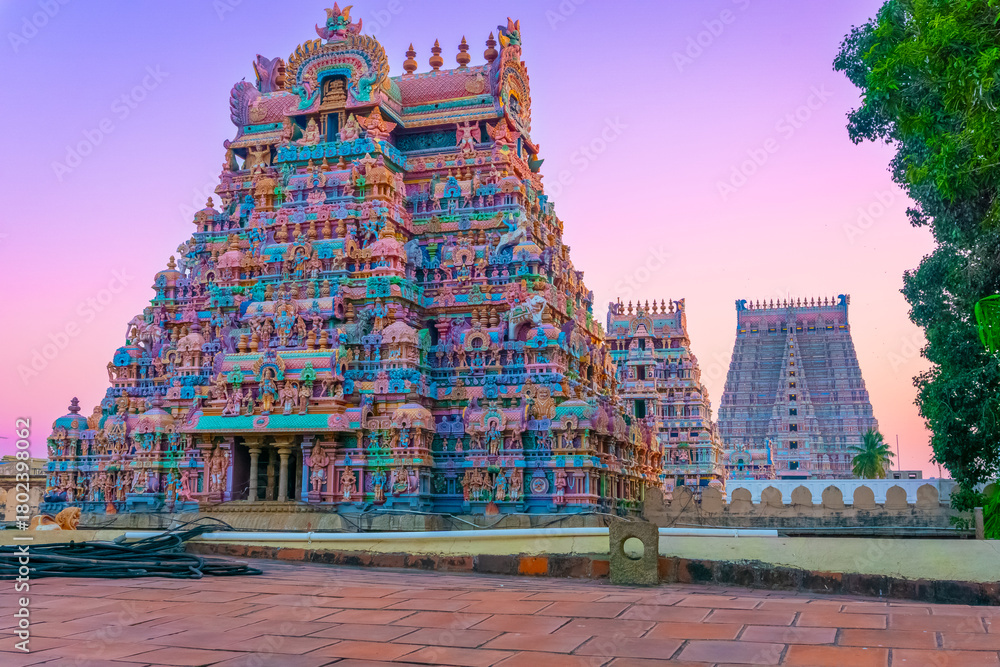 Sri Ranganatha Swamy temple is located in Srirangam, Tiruchirapalli ...