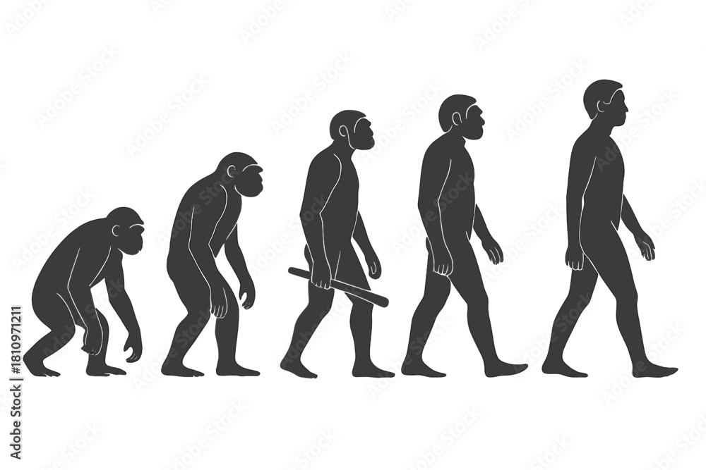 Stockvektorbilden Stages Of Human Evolution Showing The Progression