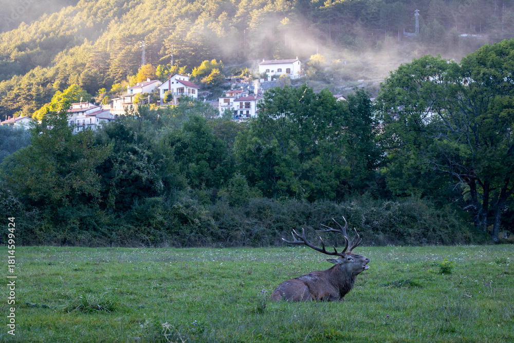 Villetta Barrea (AQ) is a small village in Abruzzo, Italy, famous for ...