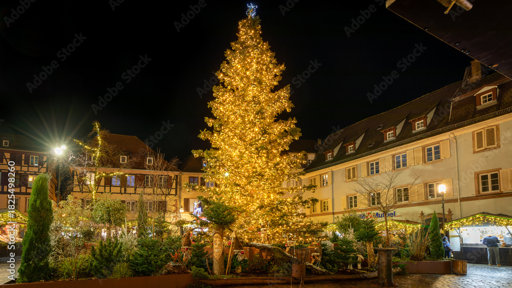 Photo Stock Christmas tree in the christmas market in Sélestat in ...