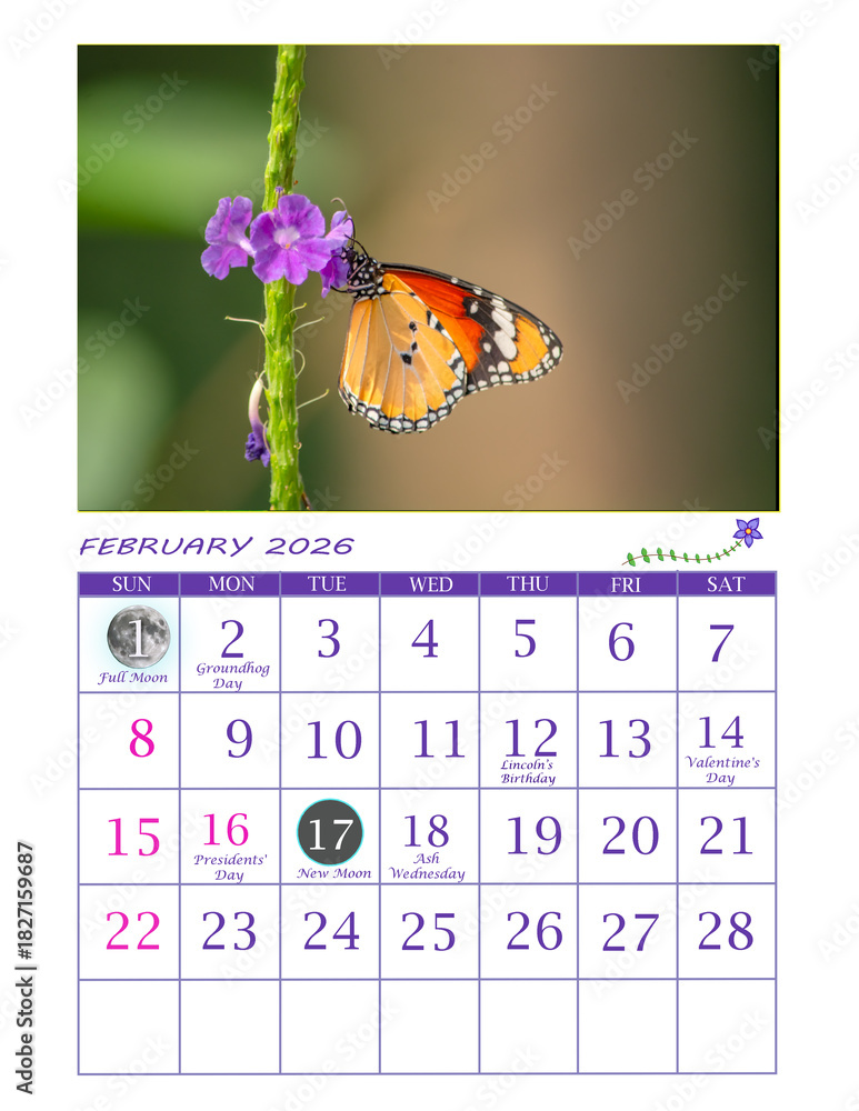 Photo Stock Year 2026 Butterfly Theme Calendar | Ready to Print Office ...