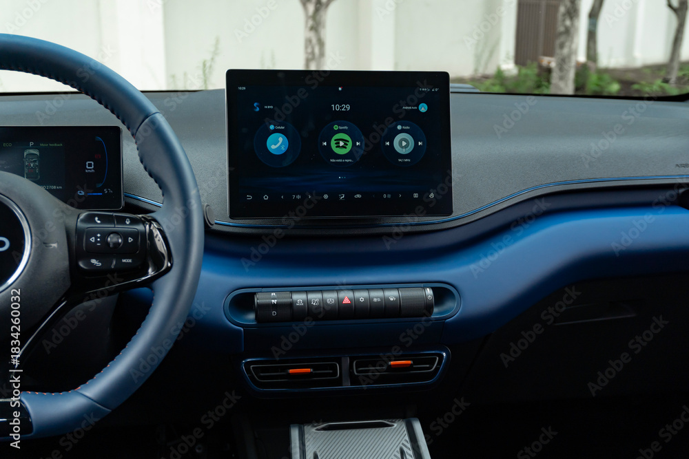 BYD Dolphin Mini infotainment screen center console, Electric car ...