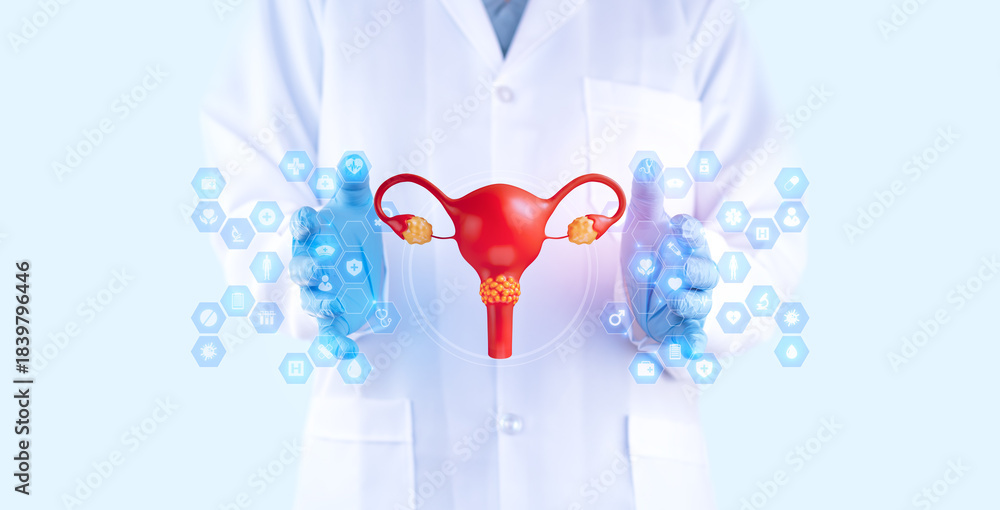 Stock-Foto „Gynecologist examining a uterine model. Concept of cervical ...