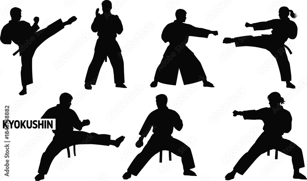 Kyokushin karate silhouettes, martial arts poses, high kick action ...
