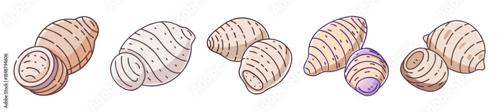 Five illustrations of taro root varieties and their edible parts with ...